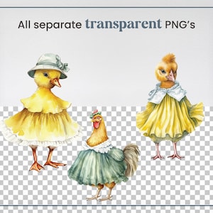Watercolor Chicken in Dress, 23 Cute Hens Clipart, Animal Digital ...