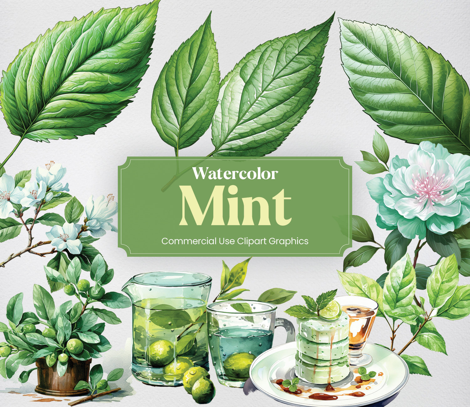 Watercolor Mint, 32 Mints Plants Flowers Spring Floral Bouquet Herb ...