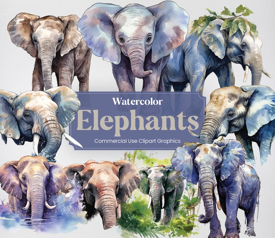 Watercolor Elephant, 24 Jungle Elephants Clipart, Safari Animal Digital ...