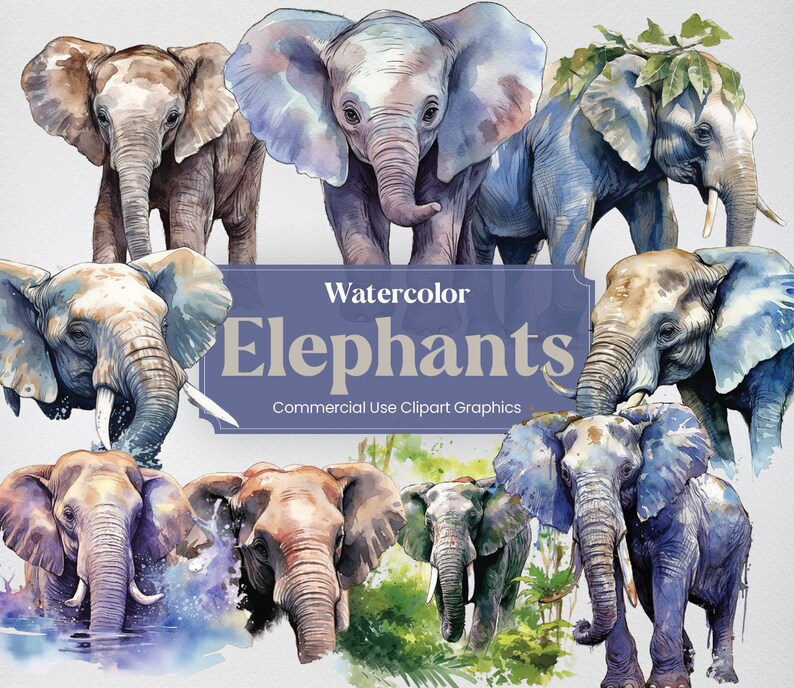 Watercolor Elephant, 24 Jungle Elephants Clipart, Safari Animal Digital ...