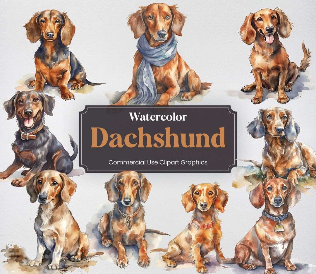 Watercolor Dachshund Dog Clipart, 23 Sausage Dog Digital Clip Art, PNG ...