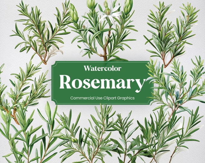 25 PNG Rosemary Clipart ,fruits Bundle, Botanical Print, Printable ...