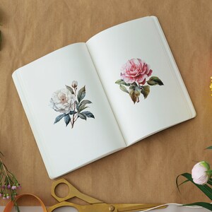 Watercolor Camellia, 28 Camellias Plants Flowers Spring Flora Greens ...