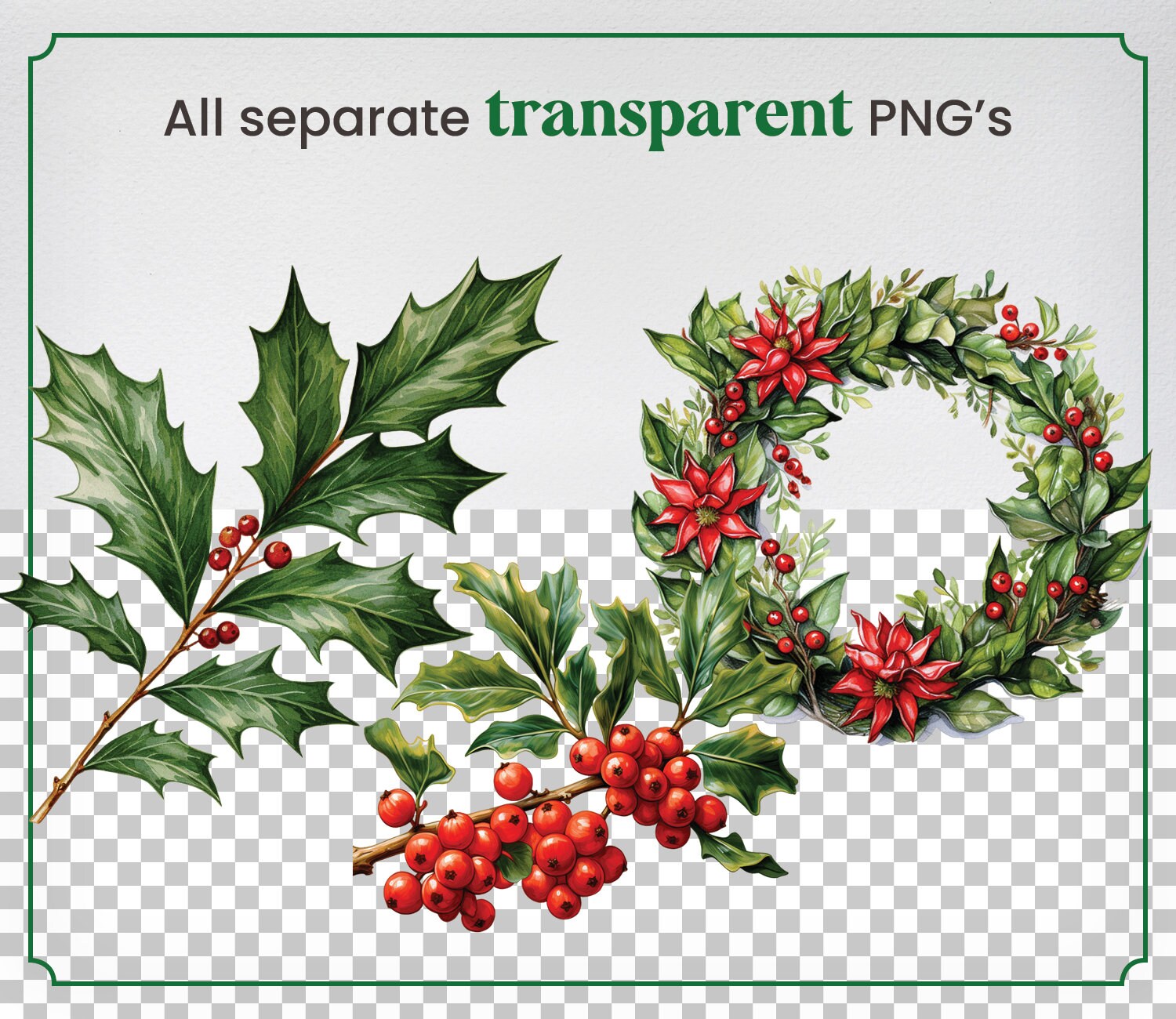 Watercolor Holly, 20+ Hollies, Flowers Plants Spring Floral Digital ...