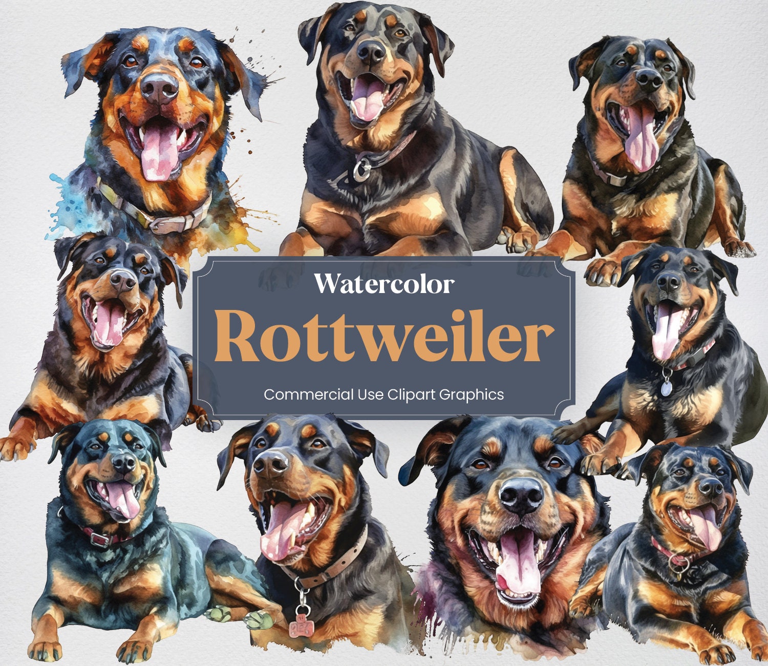 Watercolor Rottweiler Dog Clipart, 24 Animal Digital Prints, PNG Format ...