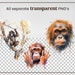 Watercolor Monkey, 20 Cute Monkeys, Jungle Animal Digital Prints ...