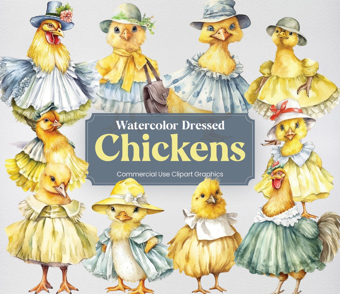 Watercolor Chicken in Dress, 23 Cute Hens Clipart, Animal Digital ...