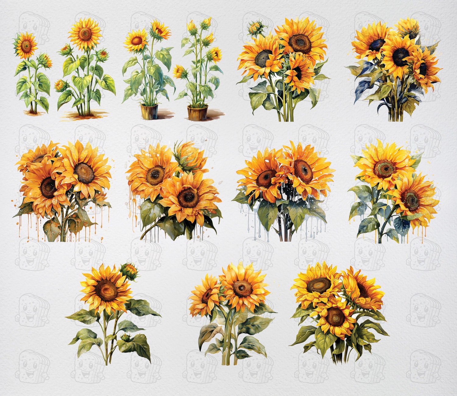Watercolor Sunflower, 32 Sunflowers Plants Flowers Spring Floral ...