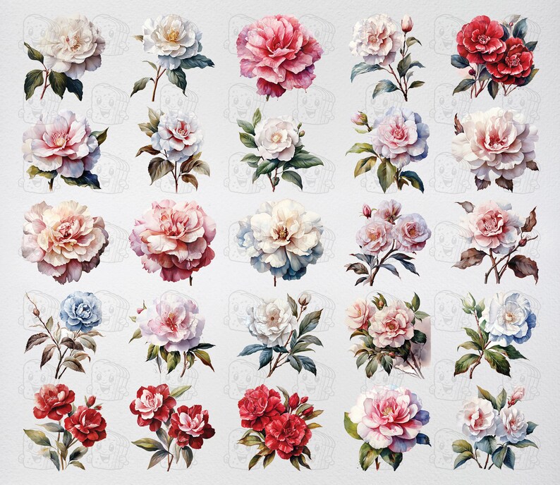 Watercolor Camellia, 28 Camellias Plants Flowers Spring Flora Greens ...