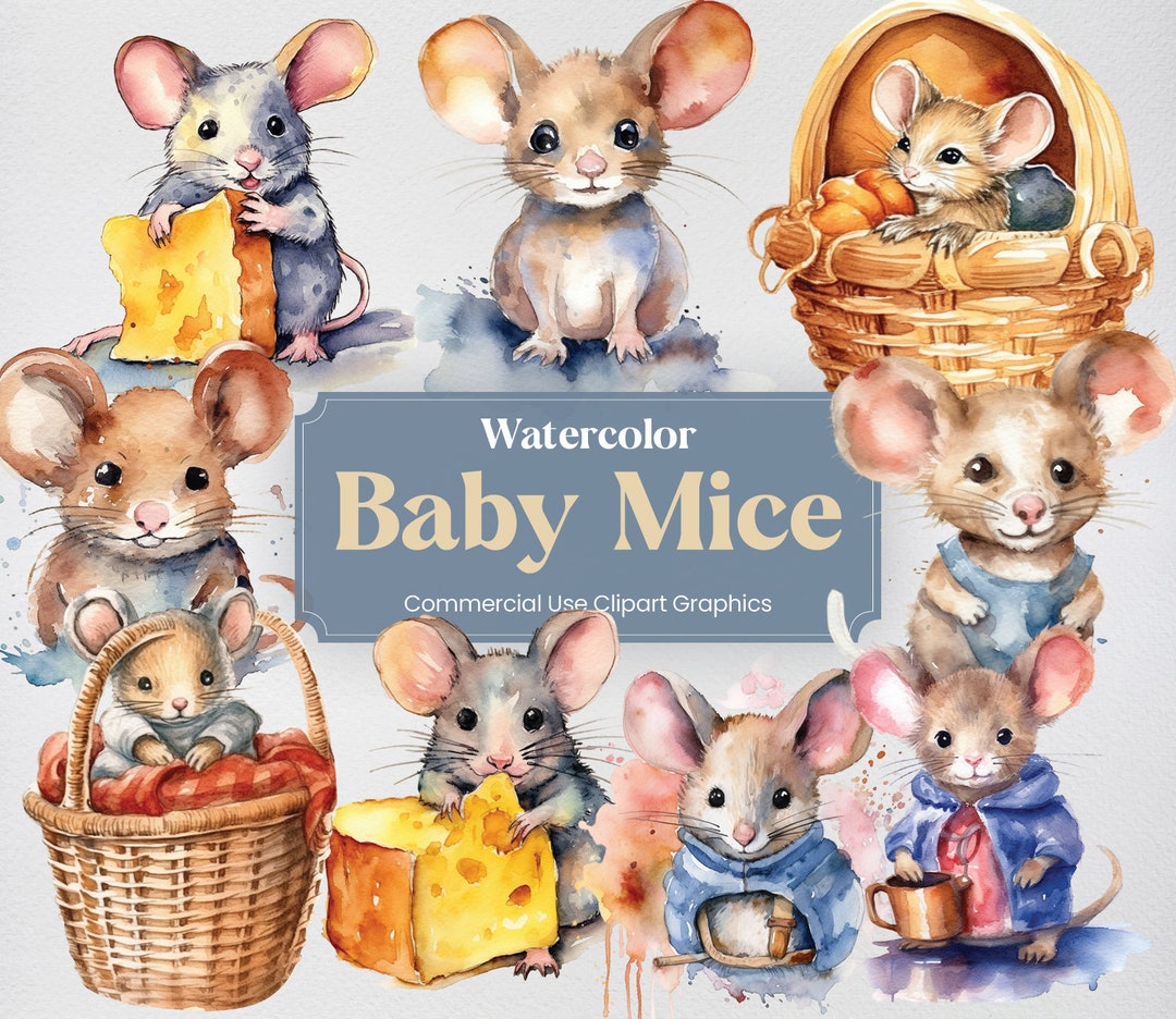 Watercolor Baby Mouse, 26 Cute Mice in Clothing Clipart, Animal Digital ...