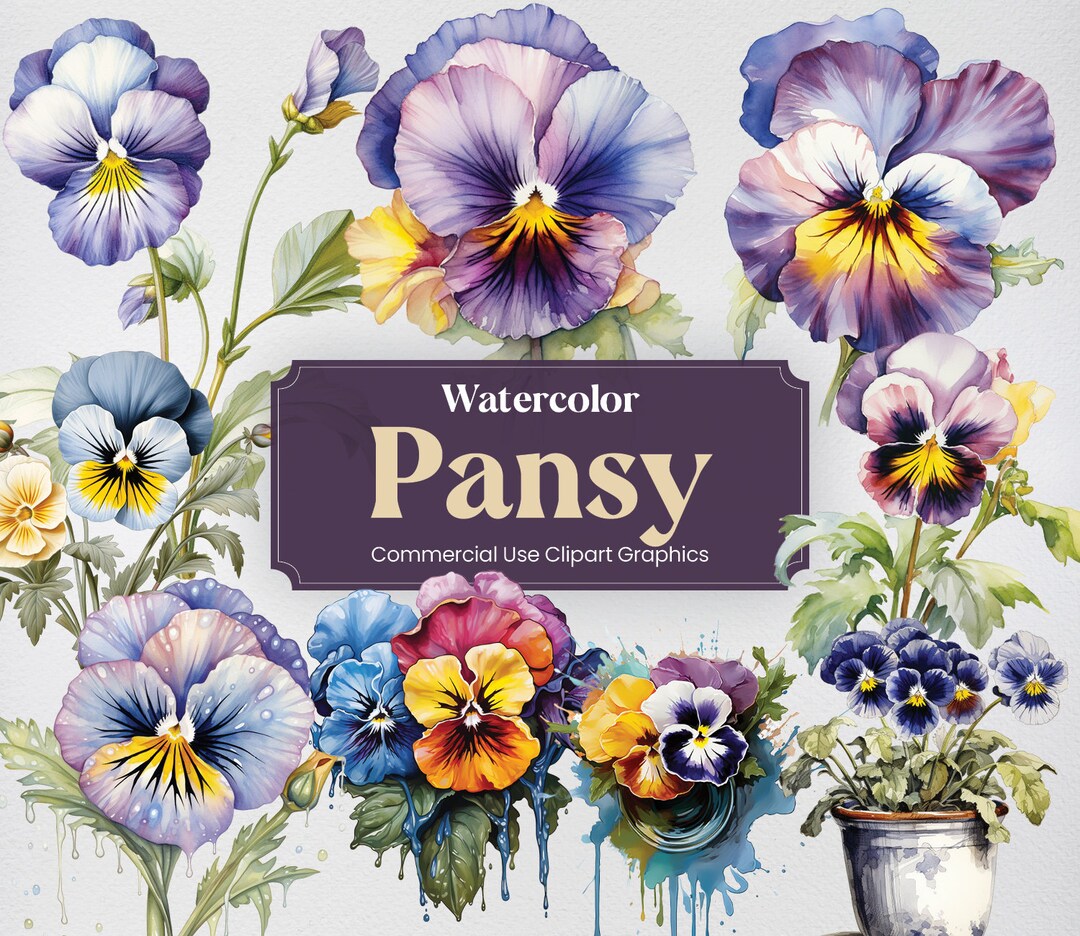 Watercolor Pansy, 28 Pansies Plants Flowers Spring Floral Bouquet Flora ...