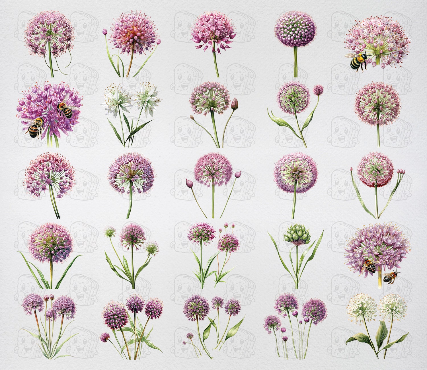Watercolor Allium, 27 Alliums, Flowers Plants Spring Floral Bouquet ...