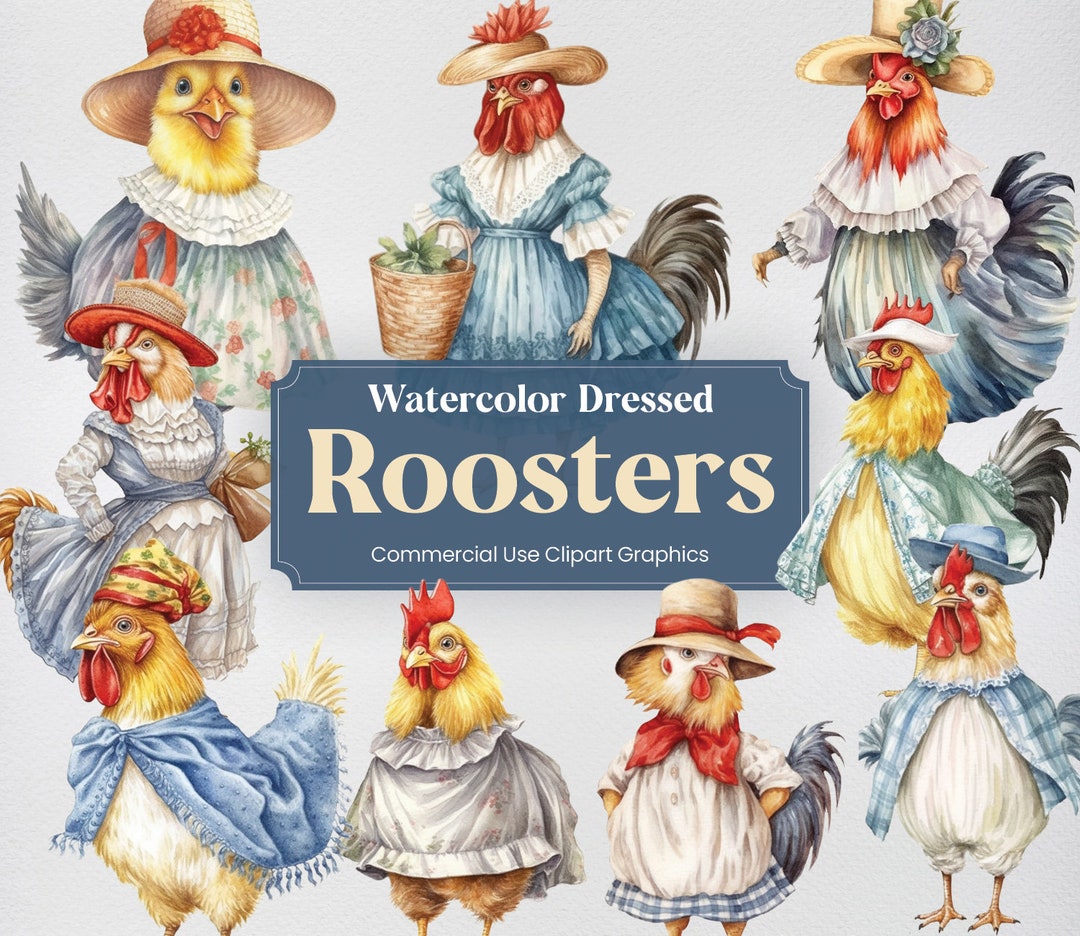 Watercolor Rooster in Dress Clothing, 20 Roosters Clipart, Farm Animal ...