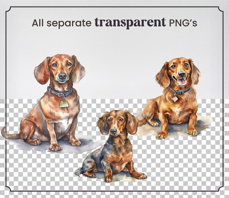 Watercolor Dachshund Dog Clipart, 23 Sausage Dog Digital Clip Art, PNG ...