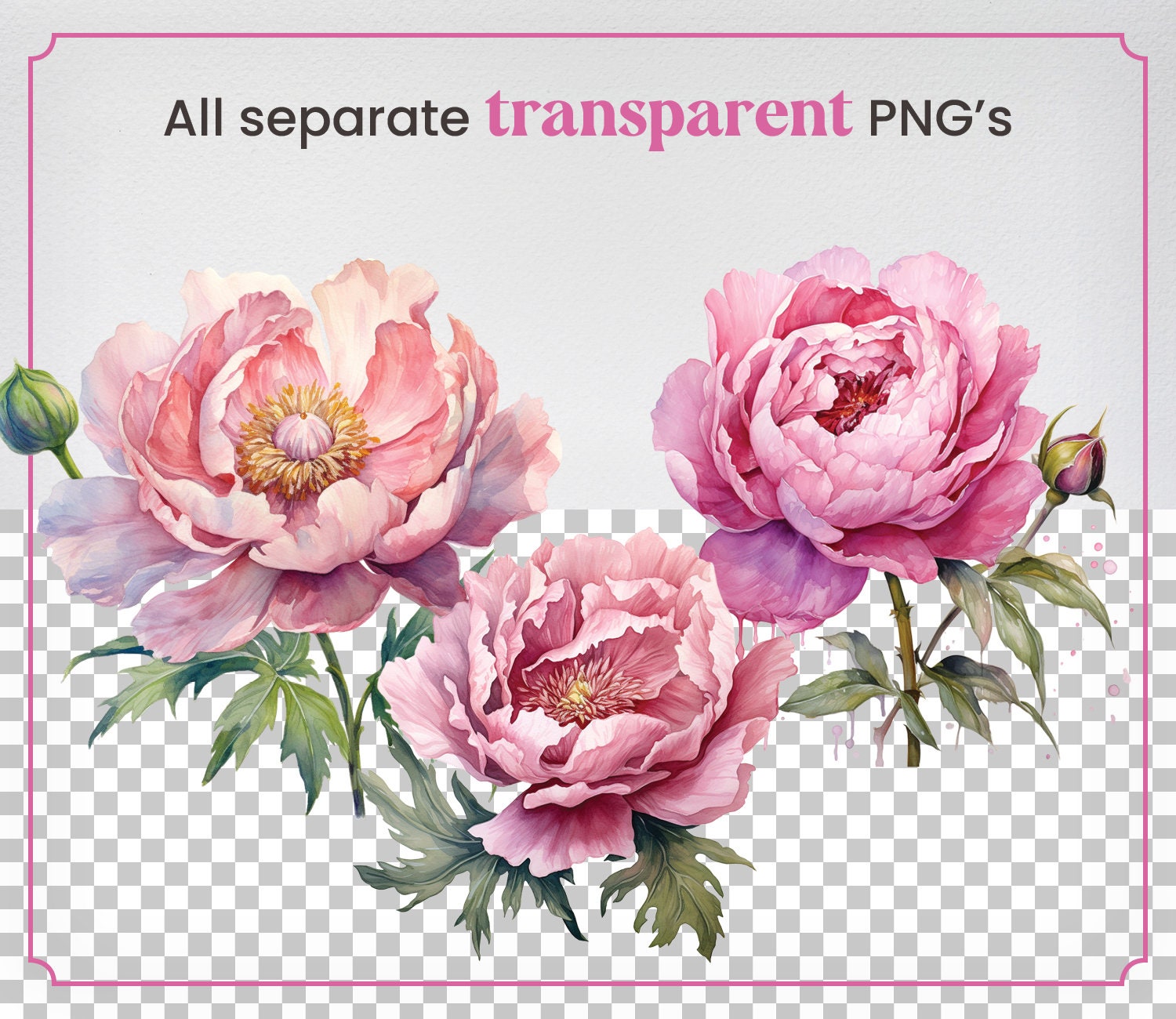 Watercolor Peony, 28 Peonies Plants Flowers Spring Floral Bouquet Flora ...