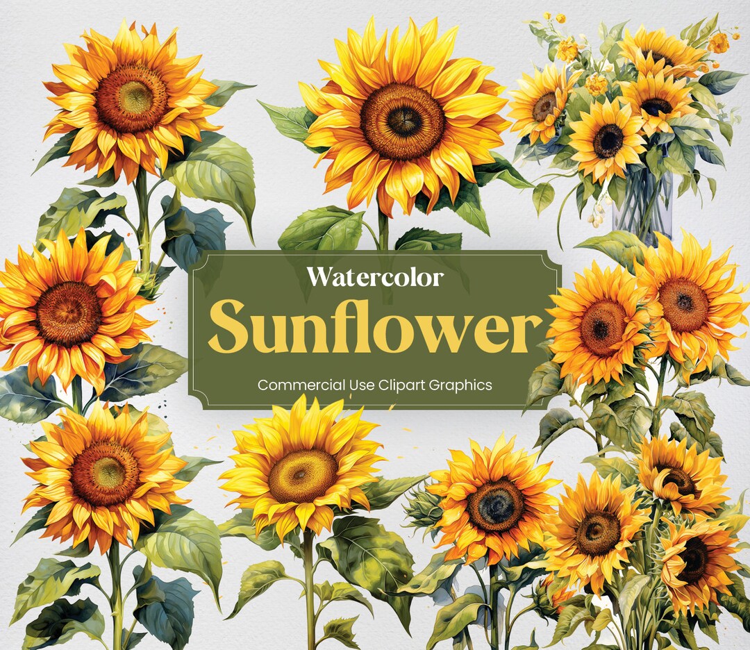 Watercolor Sunflower, 32 Sunflowers Plants Flowers Spring Floral ...