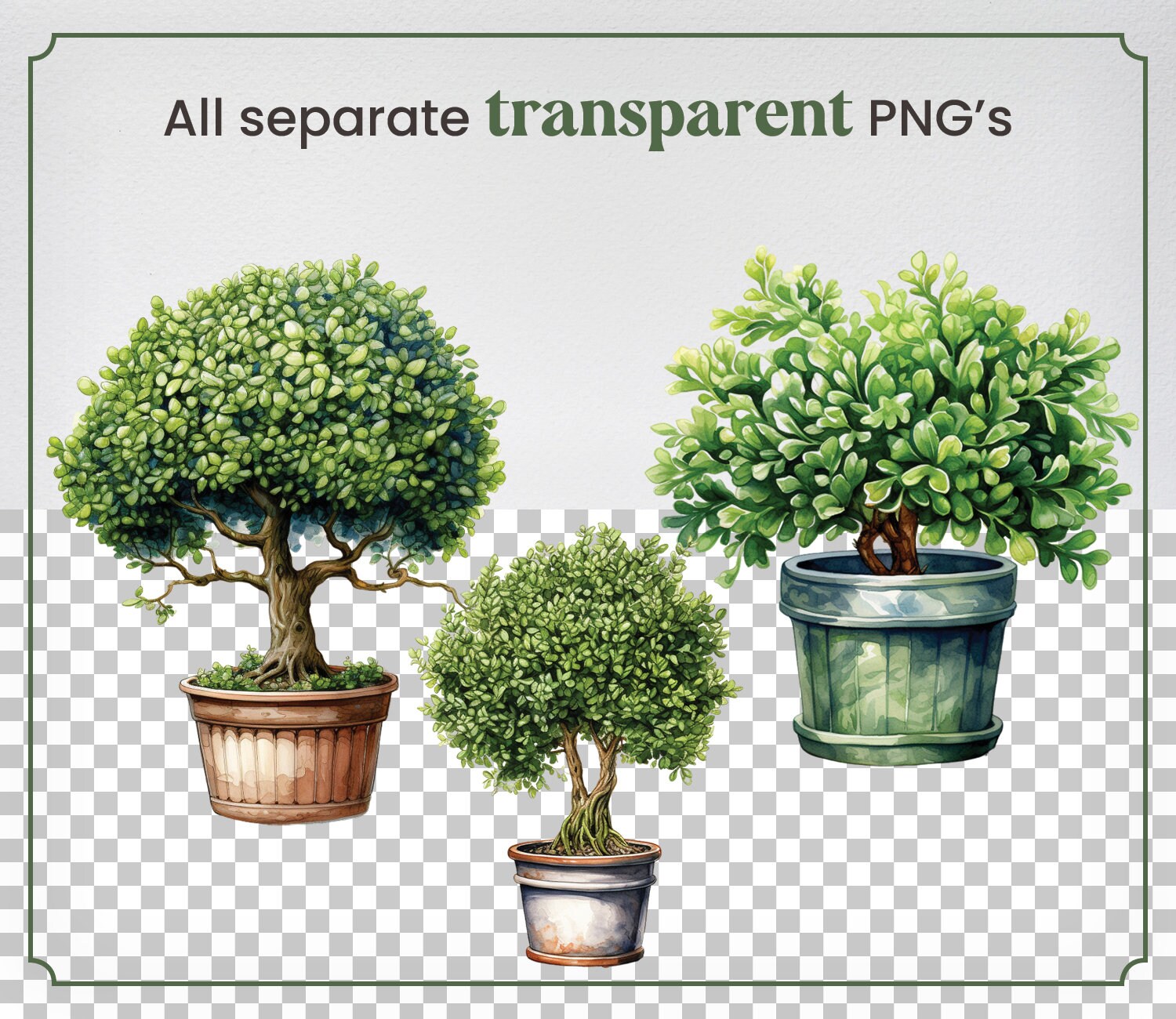 Watercolor Boxwood, 28 Boxwoods, Flowers Plants Spring Floral Bouquet ...