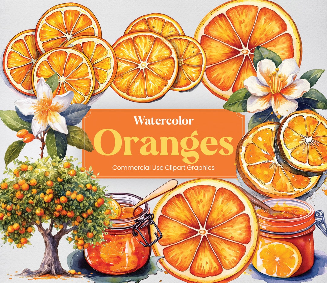 Watercolor Orange, 20 Oranges Fruit Clipart, Plants and Trees Digital ...