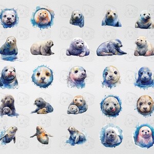 Watercolor Seal, 25 Cute Baby Seals, Digital Marine Animal Prints, Blue ...