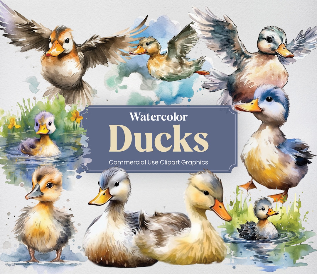 Watercolor Ducks, 25 Ducklings Clipart, Waddle of Ducks in Pond Digital ...
