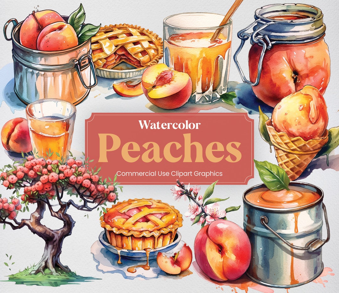 Watercolor Peach, 21 Peaches Fruit Clipart, Plants and Trees Digital ...