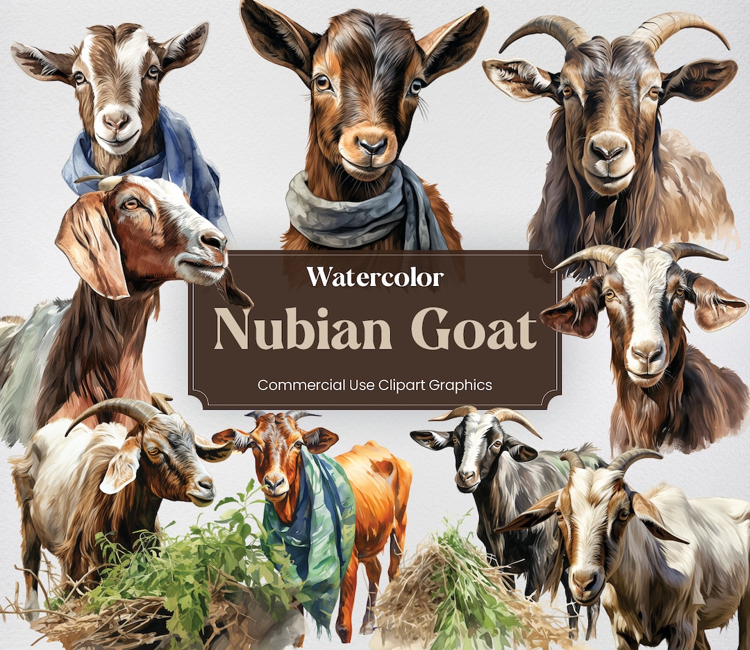Watercolor Nubian Goat, 31 Farm Goat Clipart, Barn Animal Digital ...