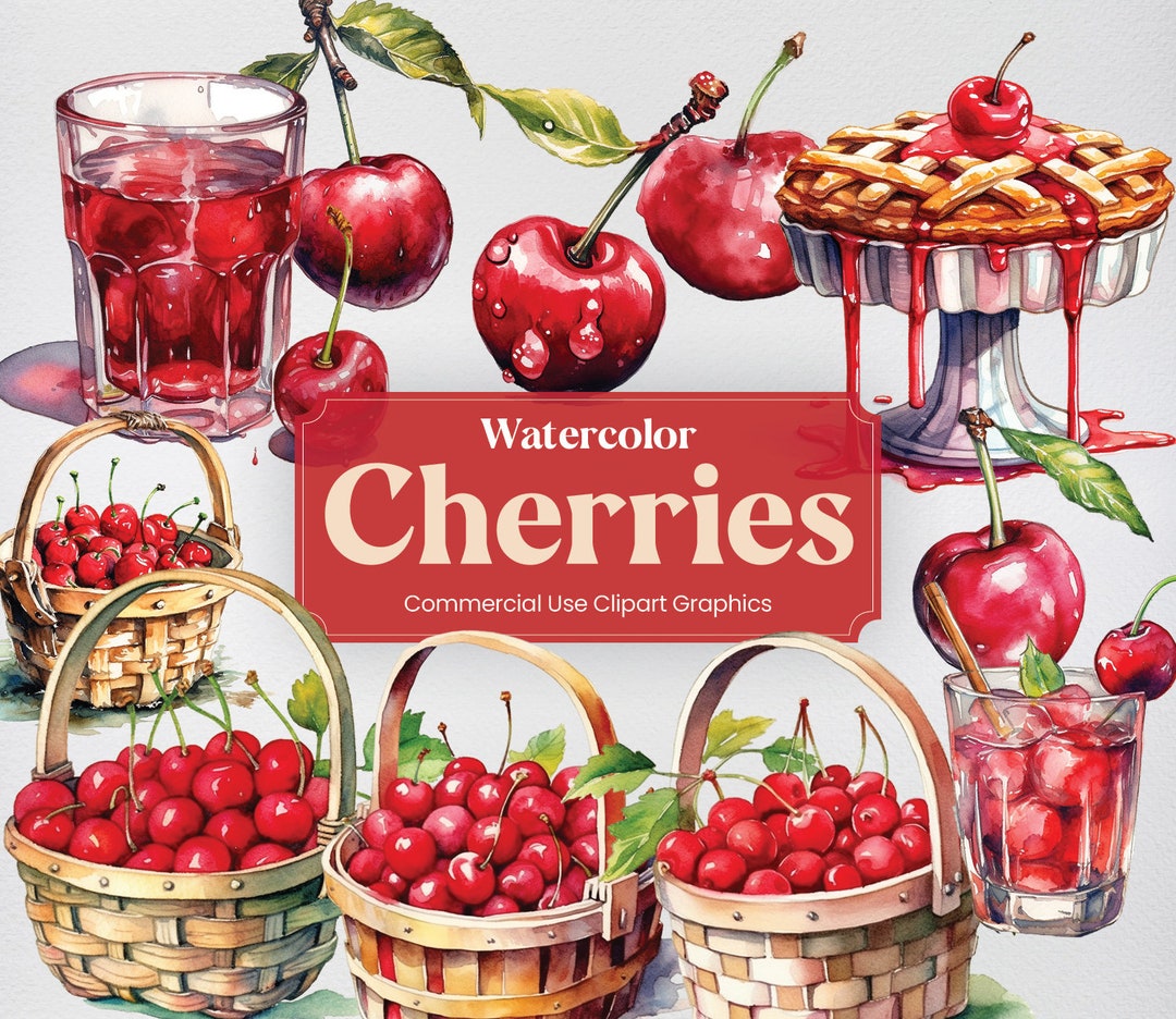Watercolor Cherry, 47 Cherries Fruit Clipart, Plant and Tree Digital ...