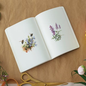 Watercolor Catmint, 26 Catmints, Flowers Plants Spring Floral Bouquet ...