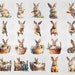 Watercolor Rabbit, 40 Rabbits Clipart, Baby Bunny Hare Animal Digital ...