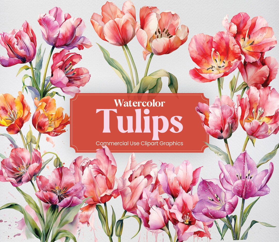 Watercolor Tulips, 28 Tulip Plants Flowers Spring Floral Bouquet Flora ...