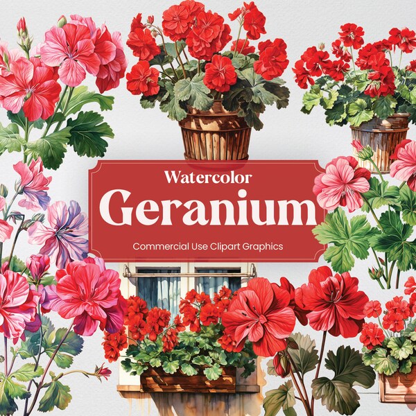 Geranium Clipart - Etsy