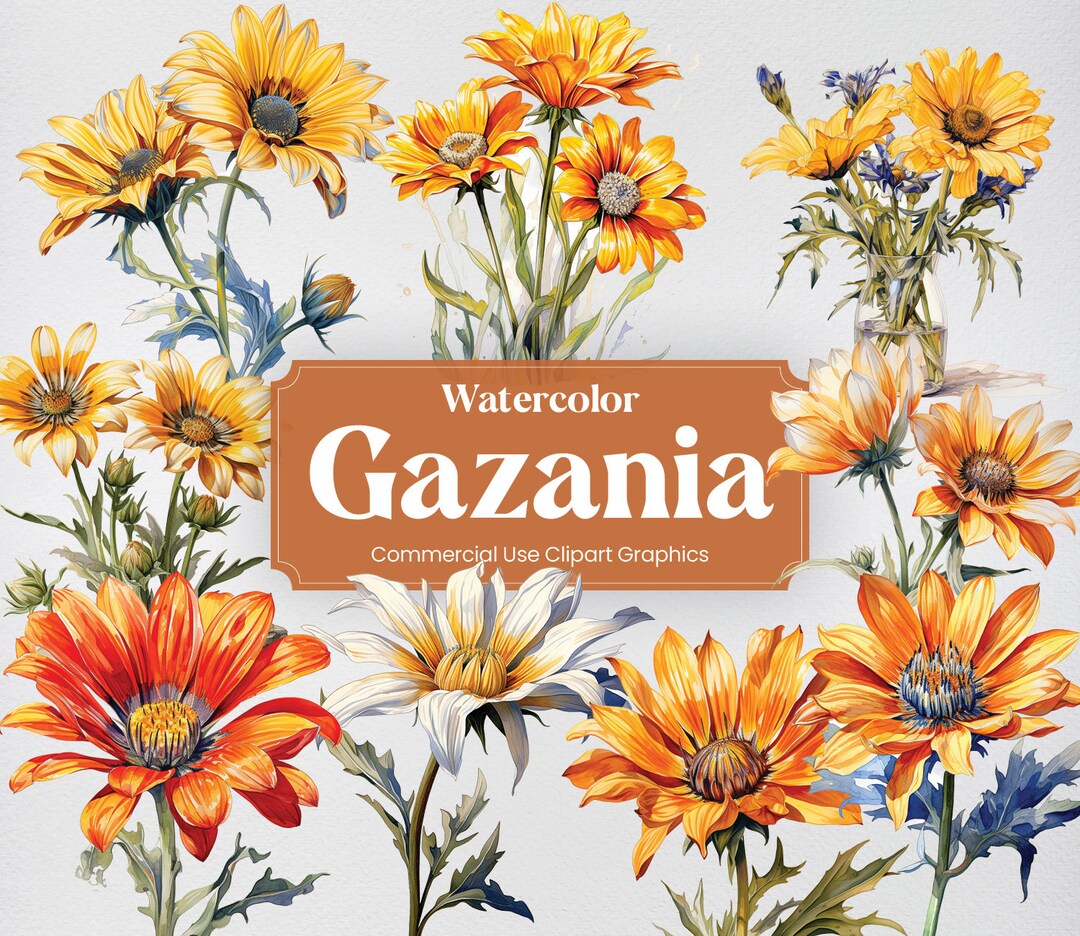 Watercolor Gazania, 20+ Gazanias, Flowers Plants Spring Floral Digital ...