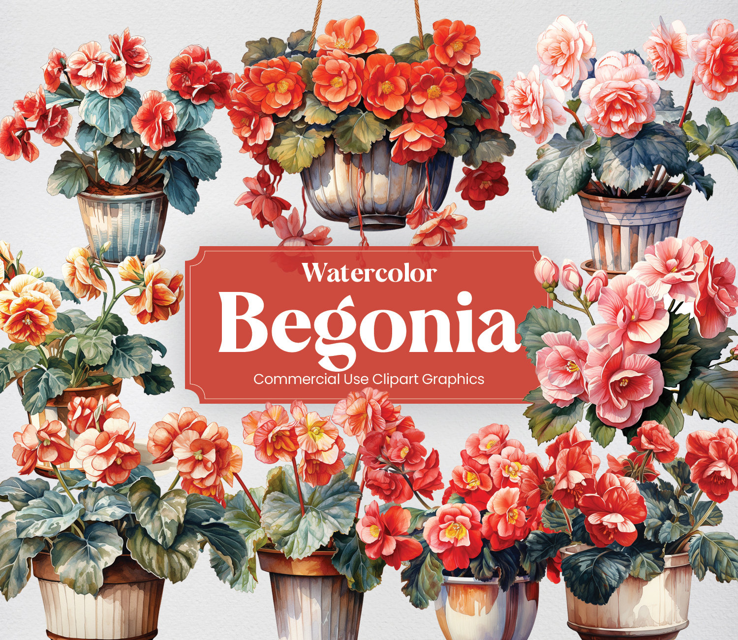 Watercolor Begonia, 28 Begonias, Flowers Plants Spring Floral Bouquet ...