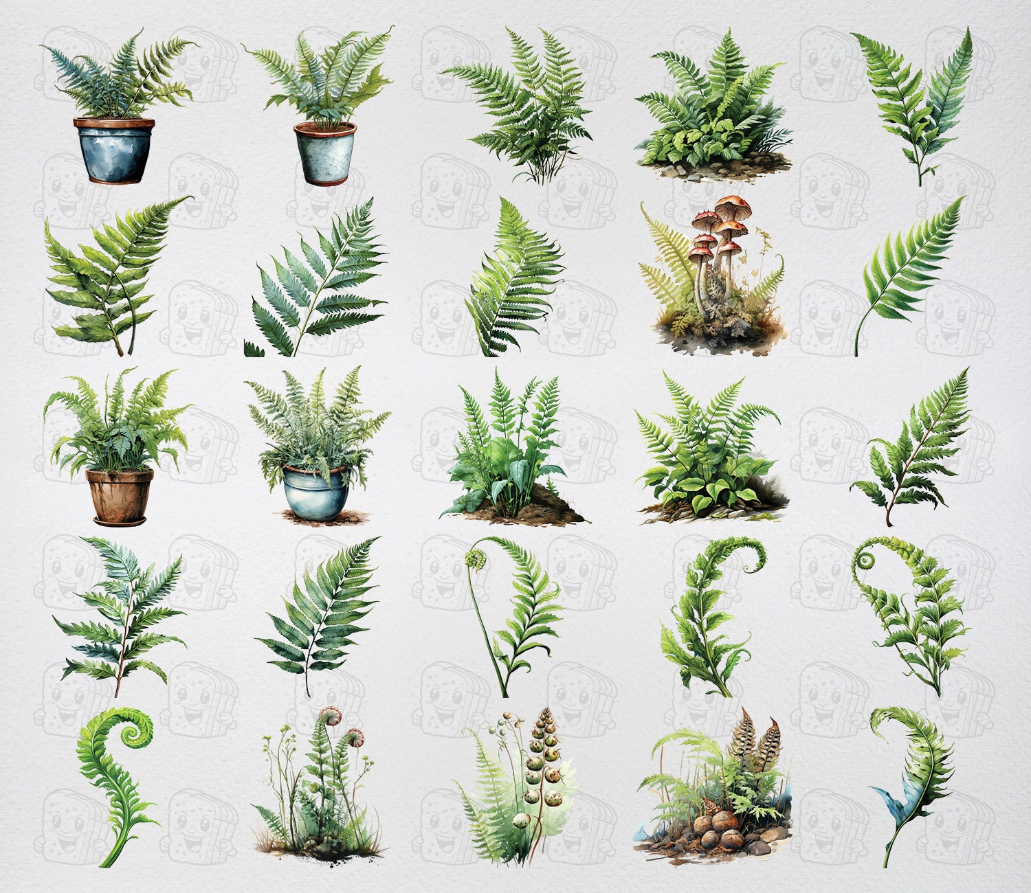 Watercolor Fern, 27 Ferns Plants Flowers Spring Flora Vegetation Greens ...