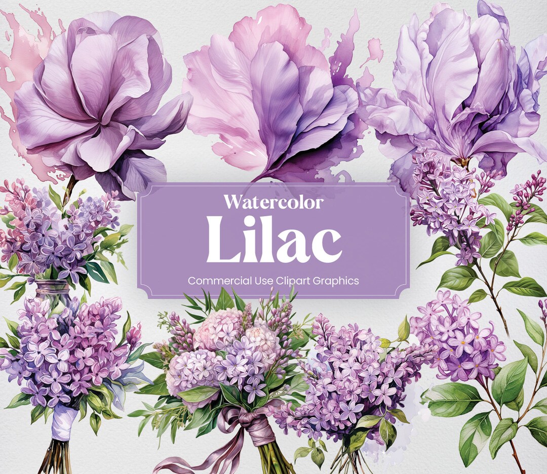 Watercolor Lilac, 27 Lilacs Plants Flowers Spring Floral Bouquet Flora ...