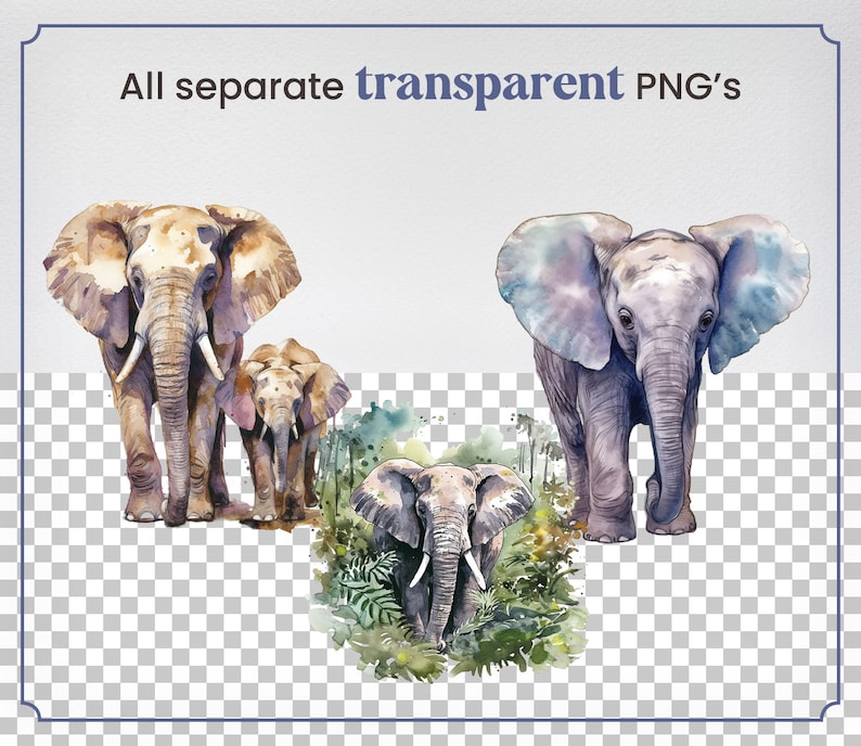 Watercolor Elephant, 24 Jungle Elephants Clipart, Safari Animal Digital ...