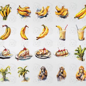 Watercolor Banana, 21 Fruit Bananas Clip Art, Plant and Tree Digital ...