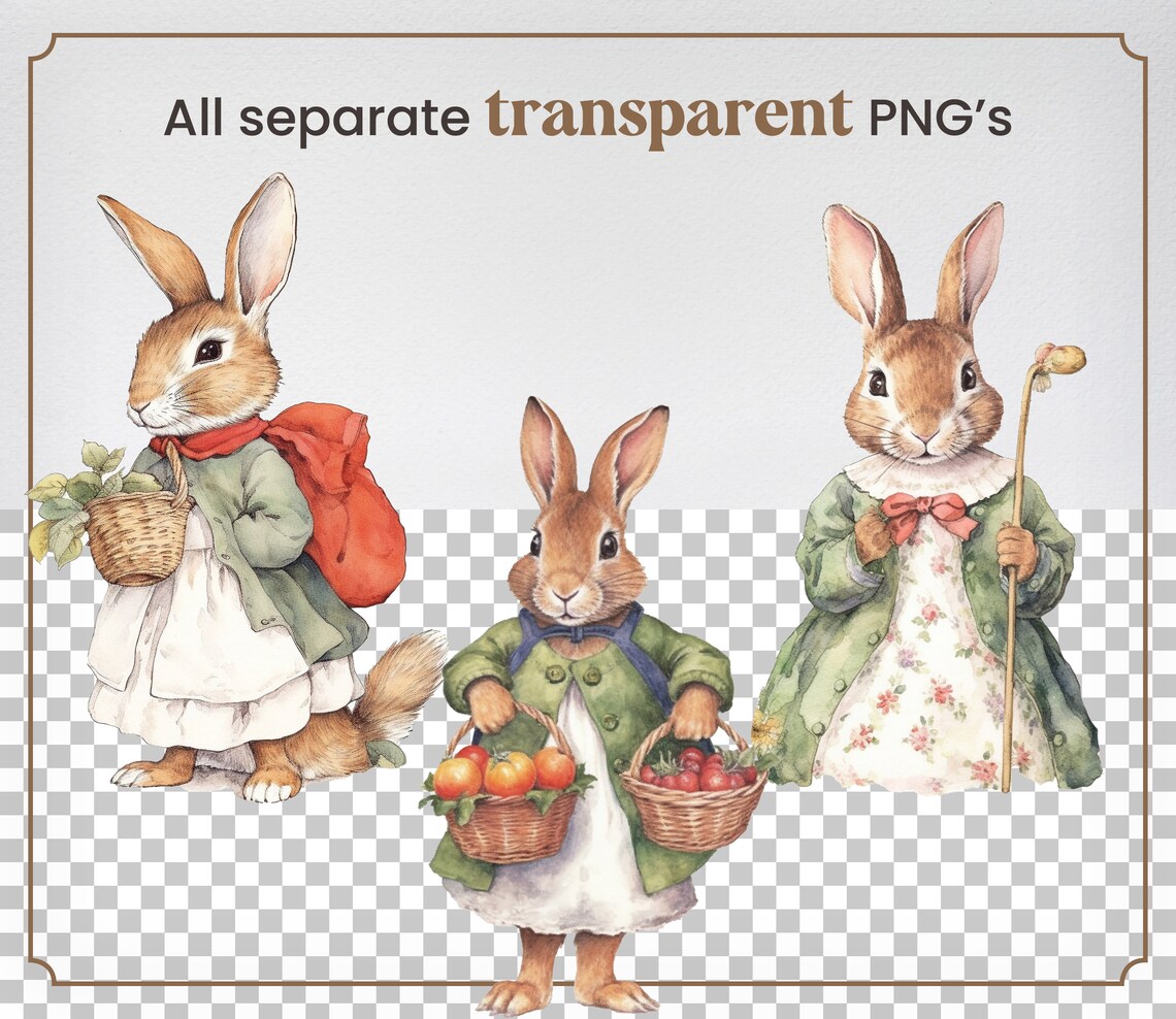 Watercolor Rabbit in Dress Clipart, 25 Cute Clip Art, Animal Digital ...