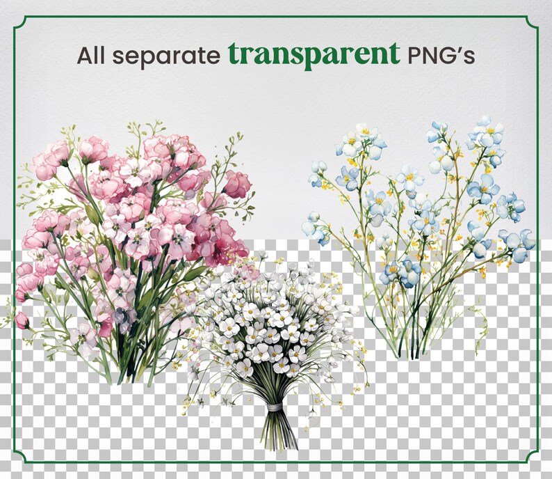 Watercolor Gypsophila, 20+ Gypsophilas, Flowers Plants Spring Floral ...