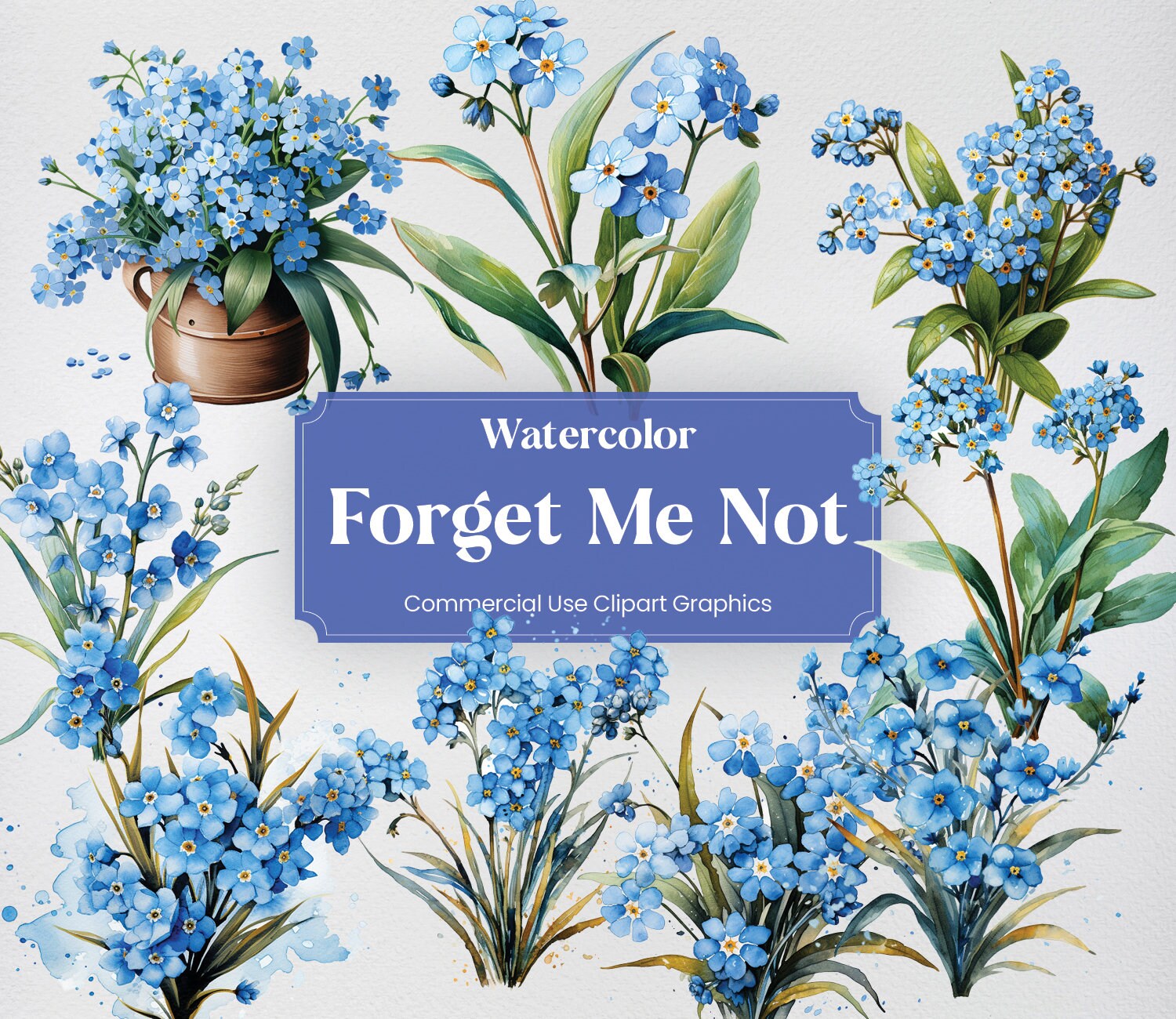 Watercolor Forget-me-not, 20 Forget-me-nots, Flowers Plants Spring ...