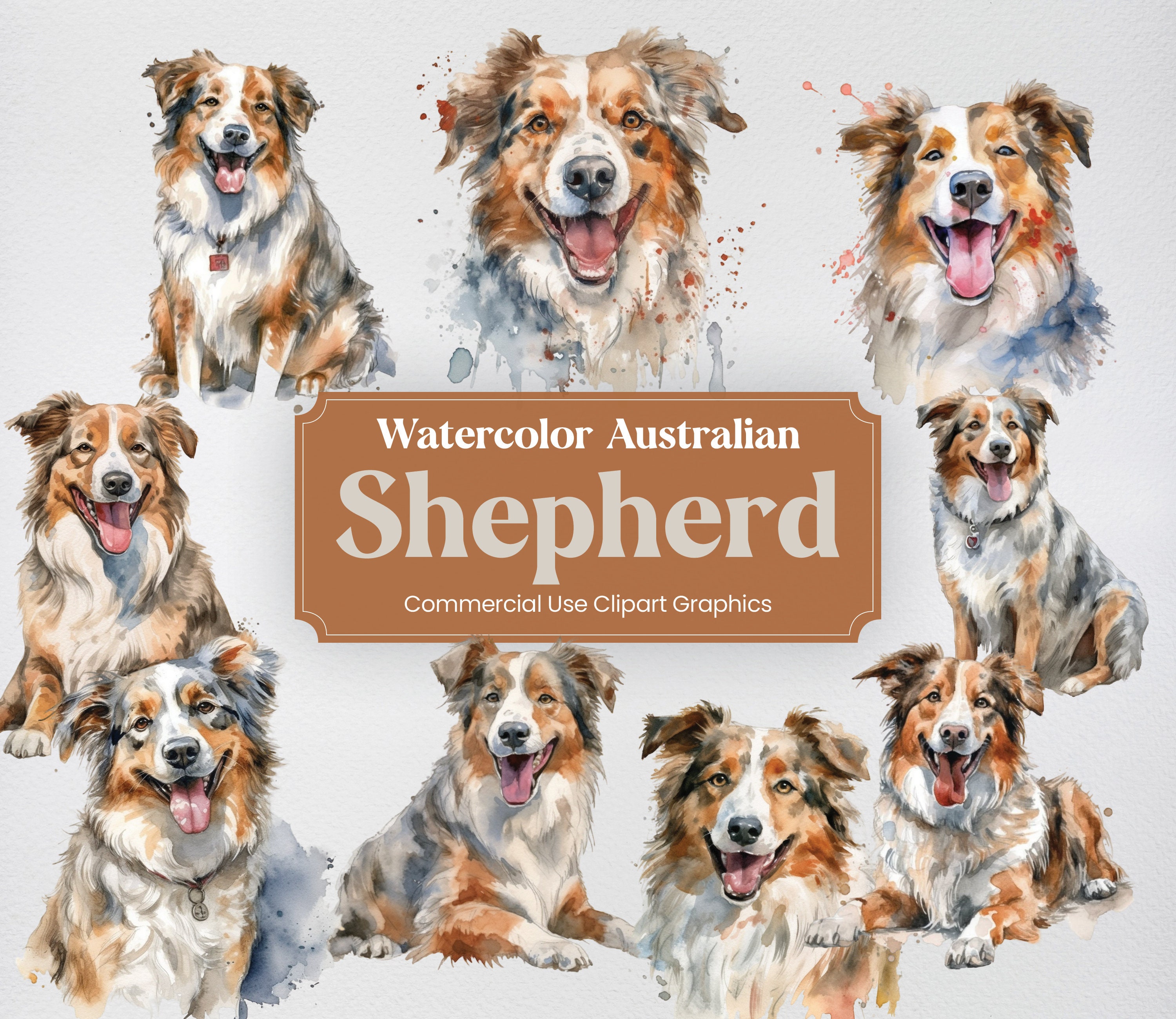 Watercolor Australian Shepherd 22 Dog Clipart Animal Digital - Etsy