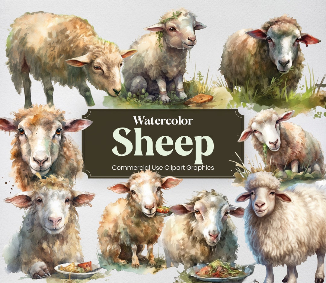 Watercolor Sheep, 44 Farm Animal Clipart, Baby Sheep, Barn Digital ...