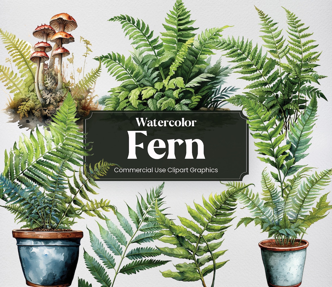 Watercolor Fern, 27 Ferns Plants Flowers Spring Flora Vegetation Greens ...
