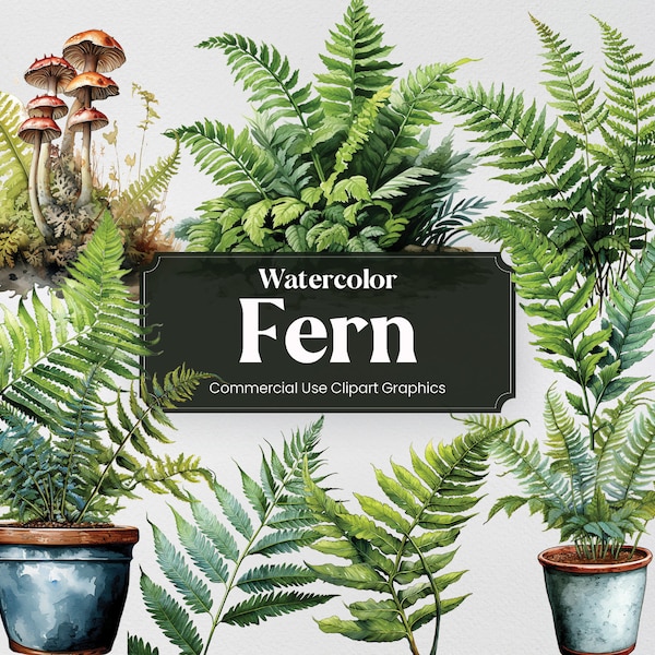 Watercolor Fern - Etsy