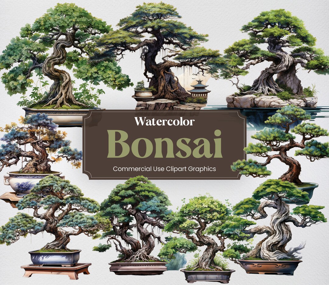 Watercolor Bonsai, 27 Bonsais Plants Flowers Trees Flora Vegetation ...