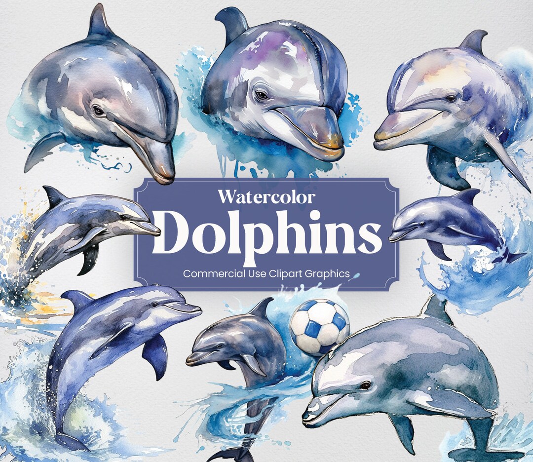 Watercolor Dolphin, 23 Dolphins Clipart, Marine Animal Digital Prints ...