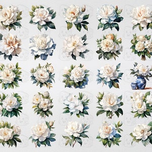 Watercolor Gardenia, 20+ Gardenias, Flowers Plants Spring Floral ...