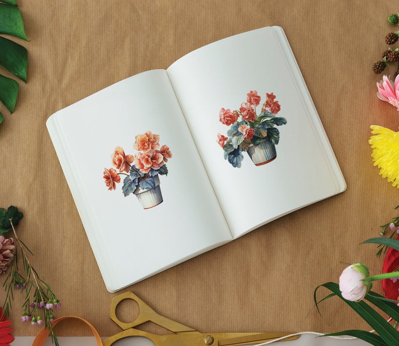Watercolor Begonia, 28 Begonias, Flowers Plants Spring Floral Bouquet ...