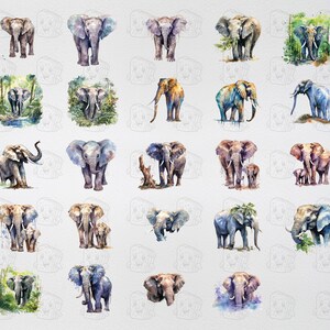 Watercolor Elephant, 24 Jungle Elephants Clipart, Safari Animal Digital ...