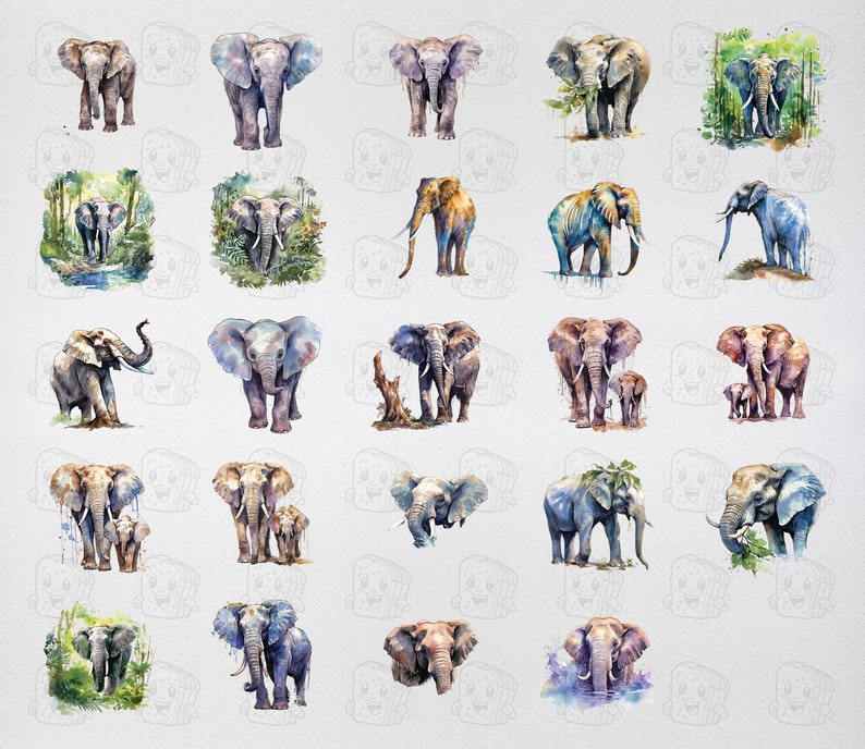 Watercolor Elephant, 24 Jungle Elephants Clipart, Safari Animal Digital ...